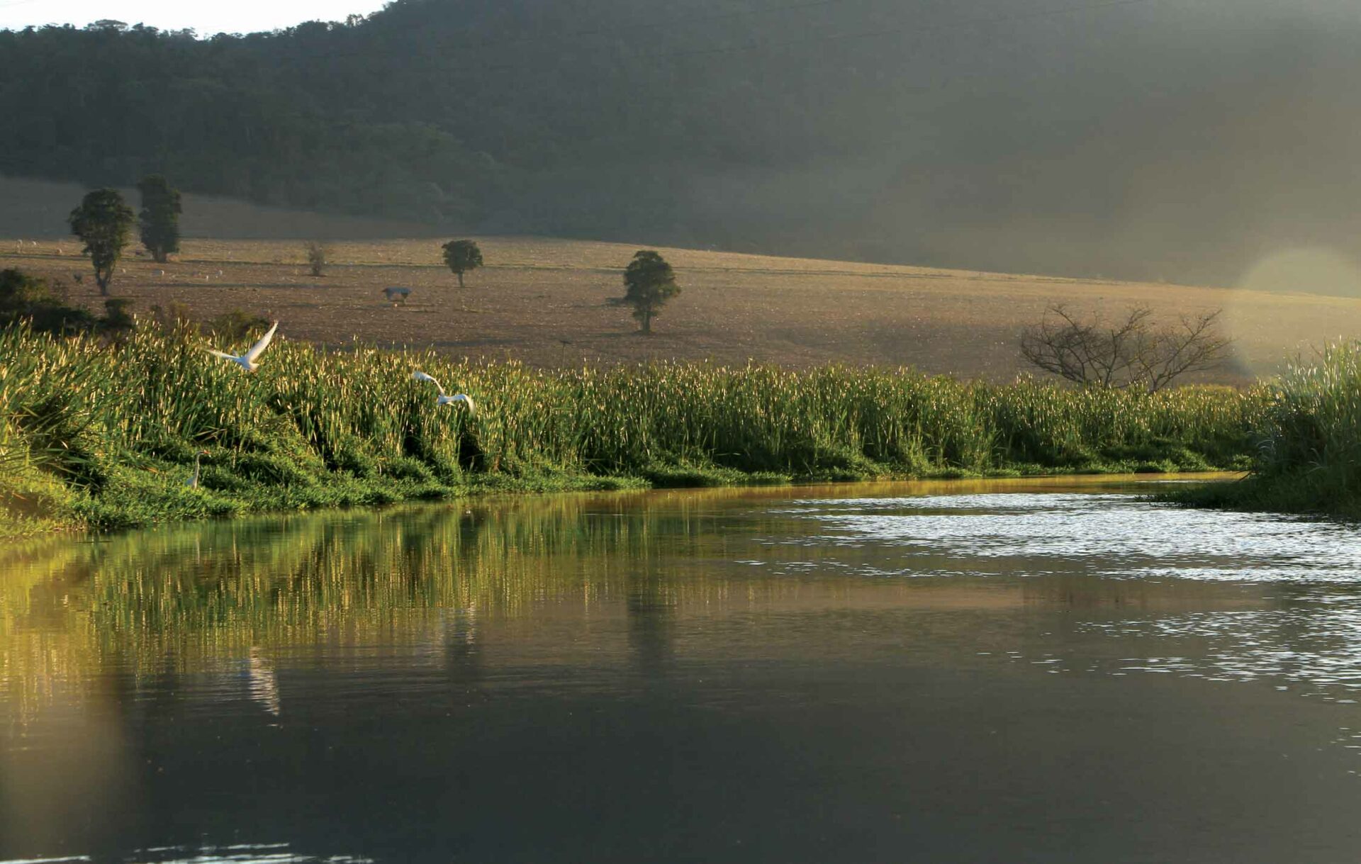 Hidrografia [Geografia]