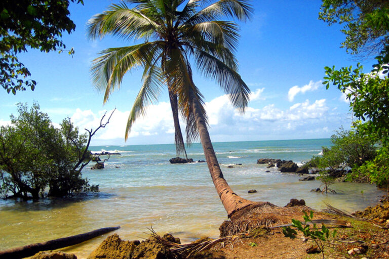 Estado de Pernambuco (PE) [Geografia]